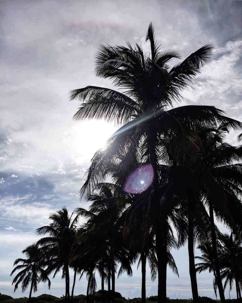 with love from Florida - Travel diary